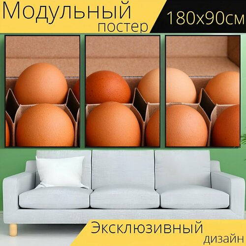 Модульный постер "Яйца, еда, упаковка" 180 x 90 см. для интерьера