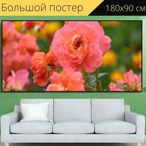 Большой постер "Дамасские розы, розы, цветы" 180 x 90 см. для интерьера