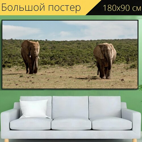 Большой постер "Млекопитающее, животное, трава" 180 x 90 см. для интерьера