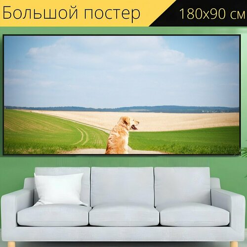 Большой постер "Собака, золотистый ретривер, домашнее животное" 180 x 90 см. для интерьера