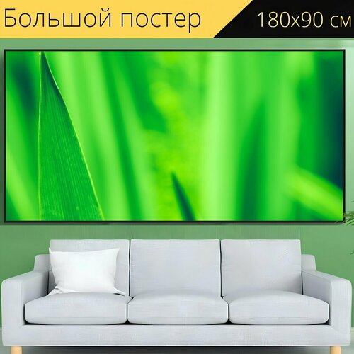 Большой постер "Трава, зеленый, текстура" 180 x 90 см. для интерьера