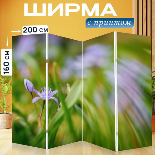 Ширма перегородка с принтом "Цветущий цветок, фиолетовый, трава" на холсте - 200x160 см. для зонирования, раскладная