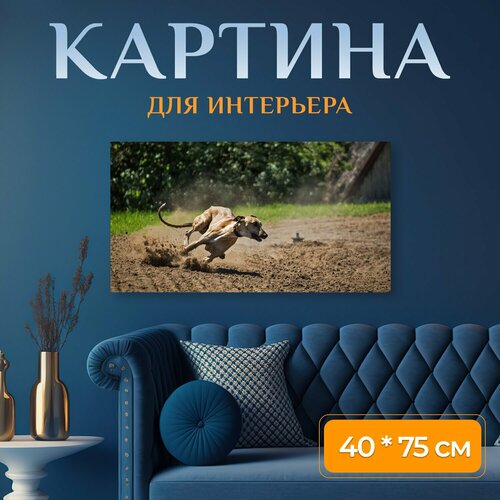 Картина на холсте "Собака, борзая, венгерская борзая" на подрамнике 75х40 см. для интерьера