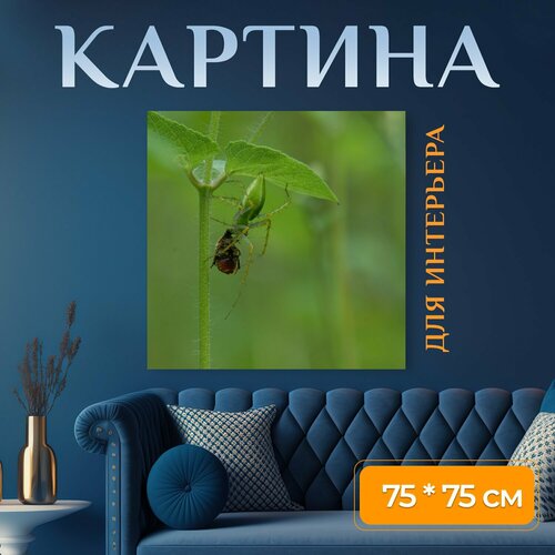 Картина на холсте "Паук всепоглощающая, насекомое, лапы" на подрамнике 75х75 см. для интерьера