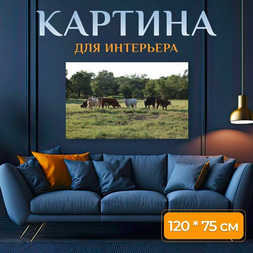 Картина на холсте "Корова, трава, ферма" на подрамнике 120х75 см. для интерьера