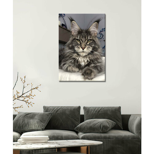 Картина - кошка, мейн-кун, домашняя кошка, ласковая кошка, кот (277) 40х60