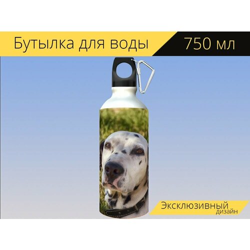 Бутылка фляга для воды "Далматинец, собака, мило" 750 мл. с карабином и принтом