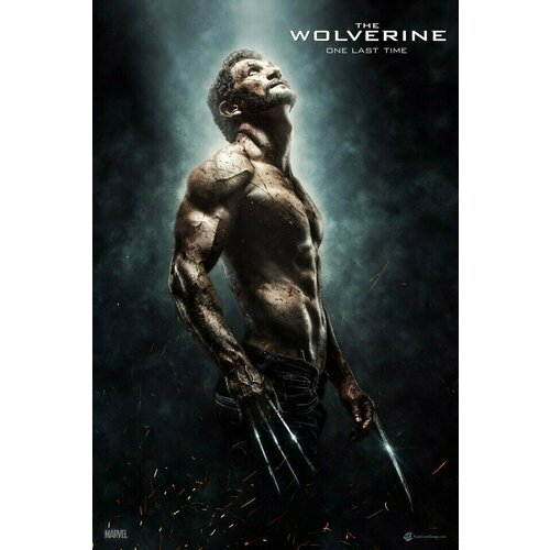 Плакат, постер на бумаге The Wolverine/Росомаха: Бессмертный. Размер 21 х 30 см