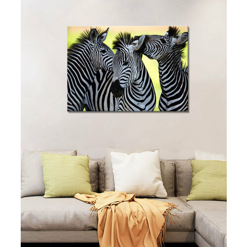 Картина - Зебра, полосатые зебры, красивые зебры, зебры в Африке (2) 60х80