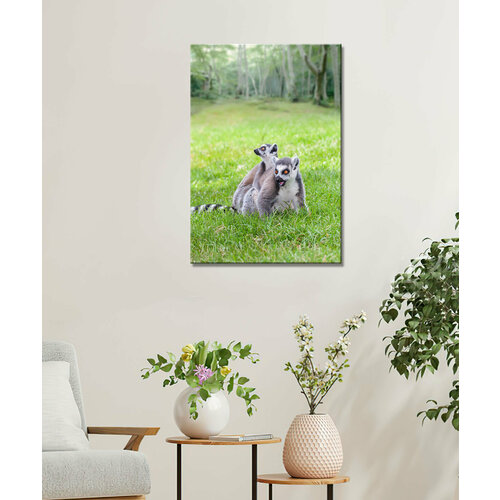 Картина - Лемур, лемуры, лемурчик, полосатый хвост лемура, милые лемуры в траве (62) 50х70