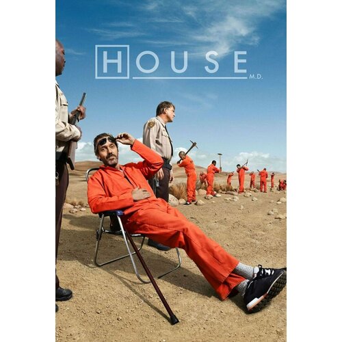 Плакат, постер на холсте House MD, Доктор Хаус. Размер 30 х 42 см