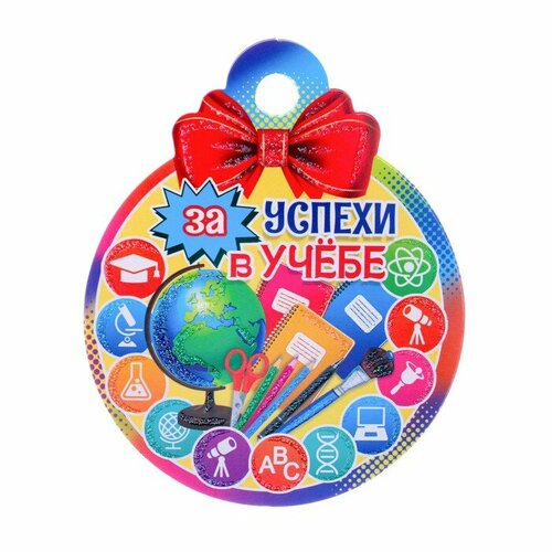 Медаль "За успехи в учёбе!" глобус, 10х10 см 9935241