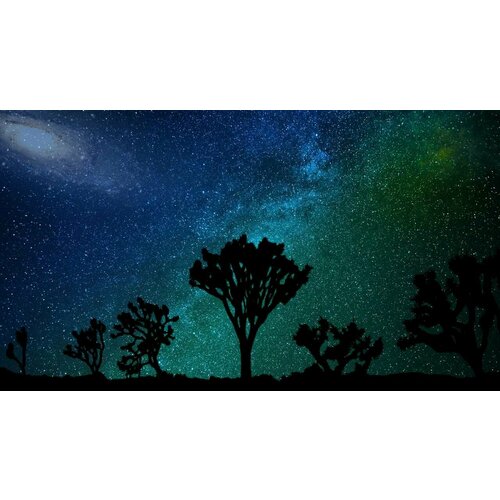 Картина на холсте 60x110 Альянс Лес "Природа Звездное Небо Млечный" на подрамнике / интерьер/ декор