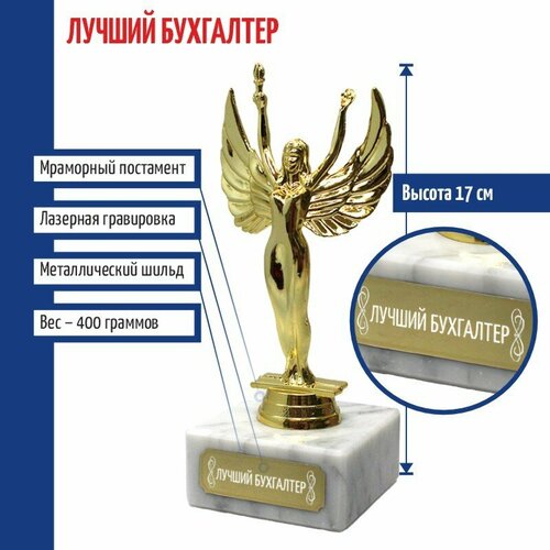 Подарки Статуэтка Ника "Лучший бухгалтер" (17 см)