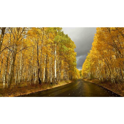 Картина на холсте 60x110 Альянс Лес "Осень листья золото небо" на подрамнике / интерьер/ декор