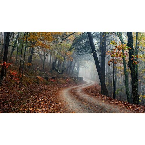 Картина на холсте 60x110 Альянс Лес "Осень пейзаж дорога лес" на подрамнике / интерьер/ декор