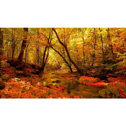 Картина на холсте 60x110 Альянс Лес "Природа лес ручей осень" на подрамнике / интерьер/ декор