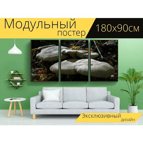 Модульный постер "Грибы, лес, лесные грибы" 180 x 90 см. для интерьера