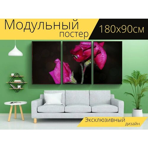 Модульный постер "Душистый горошек, цветы, сад" 180 x 90 см. для интерьера