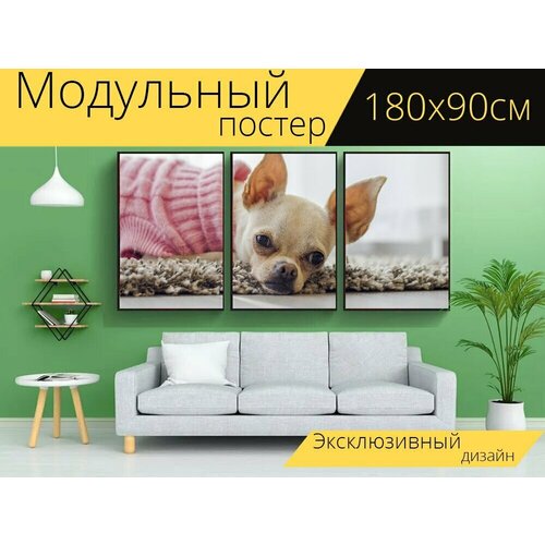 Модульный постер "Чихуахуа, собака, щенок" 180 x 90 см. для интерьера