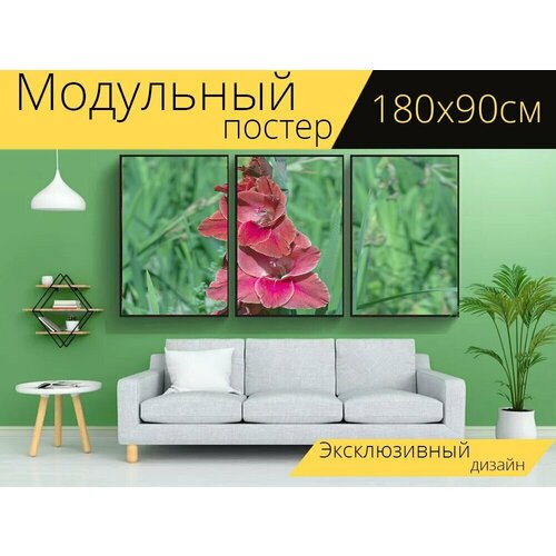 Модульный постер "Гладиолусы, ирисовые, цветок" 180 x 90 см. для интерьера