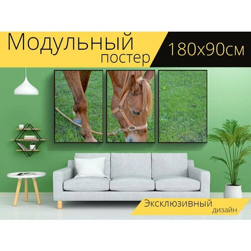 Модульный постер "Лошадь, лошади едят травы, лошадь травоядное" 180 x 90 см. для интерьера