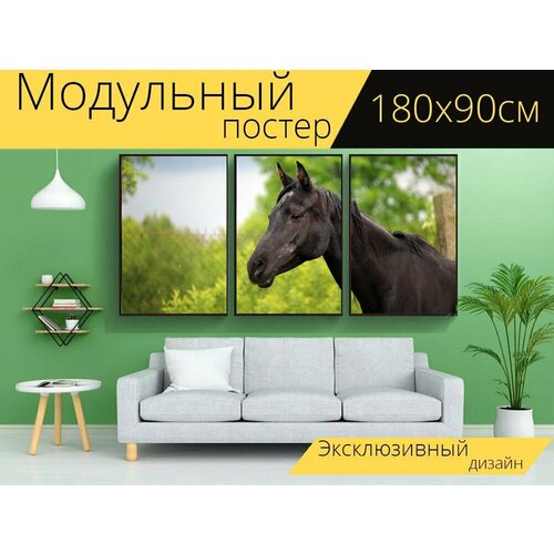 Модульный постер "Лошадь, рэп, кобыла" 180 x 90 см. для интерьера