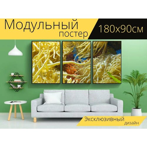 Модульный постер "Морские анемоны, аквариум, актиниария" 180 x 90 см. для интерьера