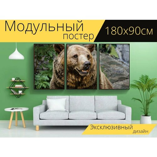 Модульный постер "Бурый медведь, зоопарк, животные" 180 x 90 см. для интерьера
