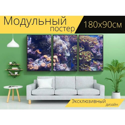 Модульный постер "Немо, рыбы, коралл" 180 x 90 см. для интерьера