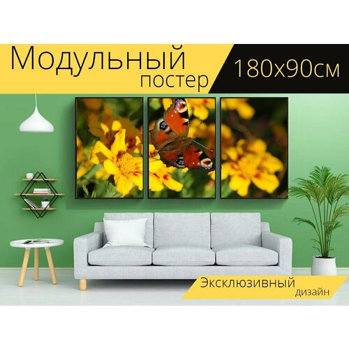 Модульный постер "Бабочка, опылителей, насекомое" 180 x 90 см. для интерьера