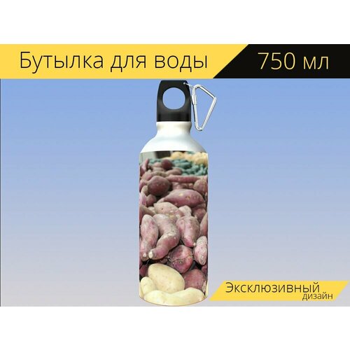 Бутылка фляга для воды "Еда, сладкая картошка, свежие овощи" 750 мл. с карабином и принтом