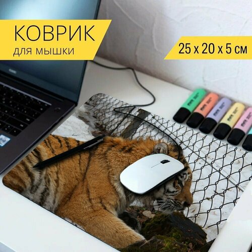 Коврик для мыши с принтом "Хабаровский край, центр утёс, тигр жорик" 25x20см.