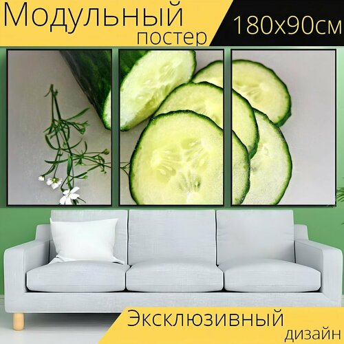 Модульный постер "Огурец, овощи, салат" 180 x 90 см. для интерьера