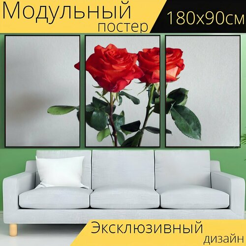 Модульный постер "Розы, расцветает, украшение" 180 x 90 см. для интерьера