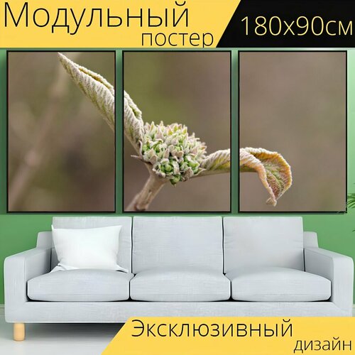 Модульный постер "Полевой цветок, дикие растения, природа" 180 x 90 см. для интерьера