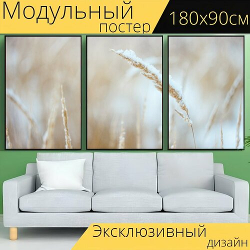 Модульный постер "Пшеница, растения, поле" 180 x 90 см. для интерьера