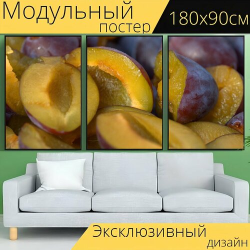 Модульный постер "Слива, фрукты, спелый" 180 x 90 см. для интерьера