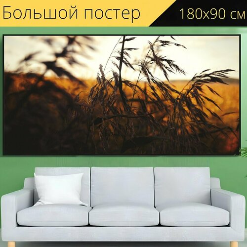 Большой постер "Закат, трава, солнце" 180 x 90 см. для интерьера