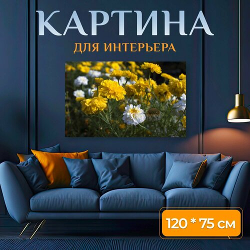 Картина на холсте "Цветы, природа, красота" на подрамнике 120х75 см. для интерьера