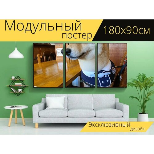 Модульный постер "Сиба ину, собака, домашний питомец" 180 x 90 см. для интерьера
