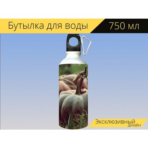 Бутылка фляга для воды "Тыква, овощи, уборка урожая" 750 мл. с карабином и принтом