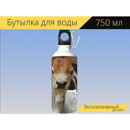 Бутылка фляга для воды "Boi, телец, животное" 750 мл. с карабином и принтом