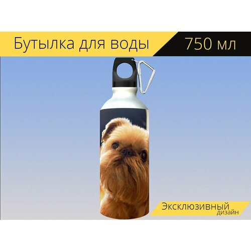 Бутылка фляга для воды "Белоголовый сип, собака, милый" 750 мл. с карабином и принтом