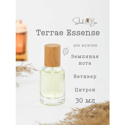 Man Terrae Essence духи стойкие