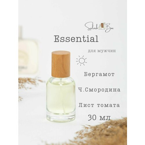 Essential духи стойкие