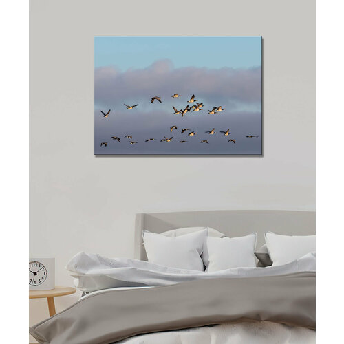Картина - Гуси, серые гуси в полете, гуси в небе, гусь птица (51) 40х60