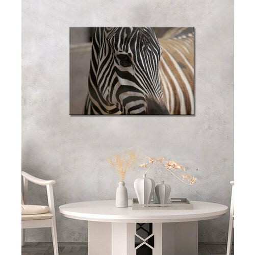 Картина - Зебра, полосатая зебра, красивая зебра, глаза зебры (22) 60х80
