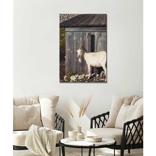Картина - Коза, белая коза, козел, белый козел (2) 40х60