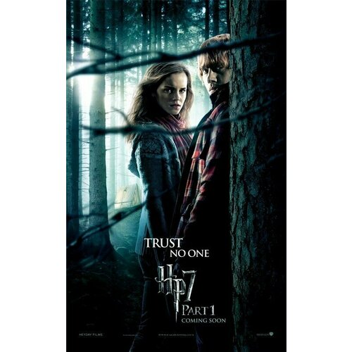Плакат, постер на холсте Гарри Поттер и Дары Смерти: Часть I (Harry Potter and the Deathly Hallows Part 1), Дэвид Йэтс. Размер 21 х 30 см